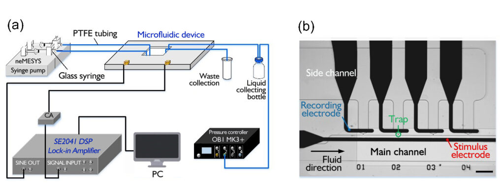 Microfluidic Electrical Impedance Spectroscopy Measurement - SALUKI